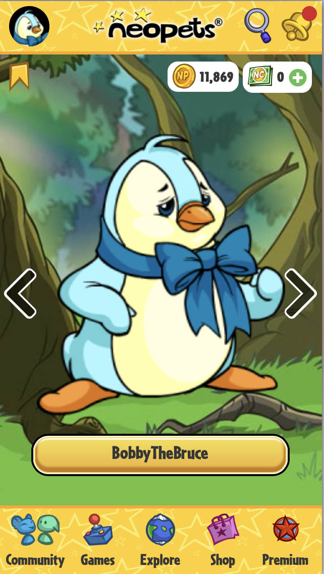 Neopets in 2020: The tech behind the new 'mobile friendly' site - Media ...